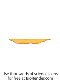 Free Arterial fat Icons, Symbols & Images | BioRender