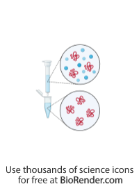 Free Protein purification Icons, Symbols & Images | BioRender