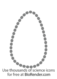 Free Viral capsid Icons, Symbols & Images | BioRender