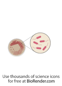 Free Petri dish (bacteria, with call out) Icons, Symbols & Images ...