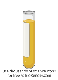 Free Blood vial (plasma, full, labelled) Icons, Symbols & Images ...