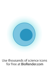 Free Lymphocyte (t-cell, active, blue) Icons, Symbols & Images | BioRender