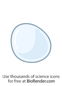 Free Vacuole (round) Icons, Symbols & Images | BioRender