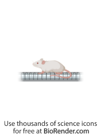 Free Challenging beam (with mouse) Icons, Symbols & Images | BioRender