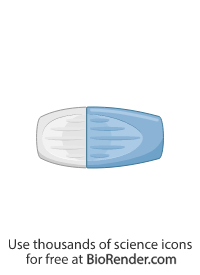 Free Lancet (contact-activated, body) Icons, Symbols & Images | BioRender