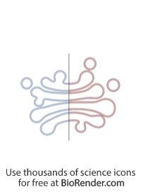 Free Schematic budding golgi apparatus (split) Icons, Symbols & Images ...