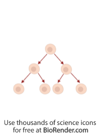 Free Generic Cells Icons, Symbols & Images | BioRender