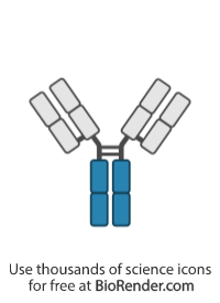 Free Antibodies Icons, Symbols & Images | BioRender