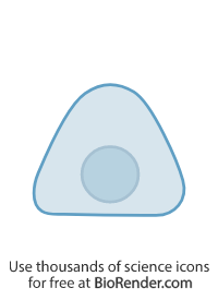 Free Triangular cell Icons, Symbols & Images | BioRender