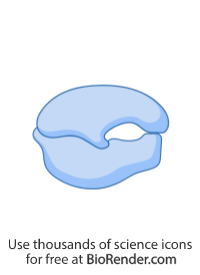 Free RNA polymerase II Icons, Symbols & Images | BioRender