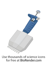 Free Pipette (angled, multichannel) Icons, Symbols & Images | BioRender