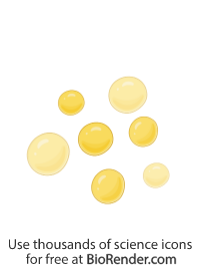 Free Fat droplets Icons, Symbols & Images | BioRender
