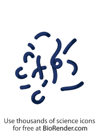 Free Polypeptide (soluble, fragmented) Icons, Symbols & Images | BioRender
