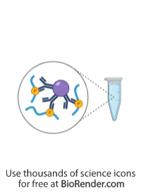 Free Antibody-based protein targeting Icons, Symbols & Images | BioRender