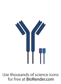 Free BCR (with CD79) Icons, Symbols & Images | BioRender