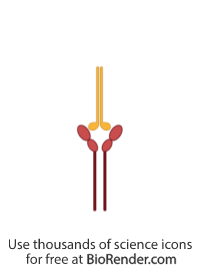 Free PD1 and PD-L1/PD-L2 Icons, Symbols & Images | BioRender