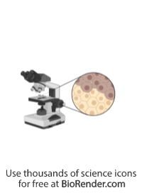 Free Microscope (tissue sample, stained) Icons, Symbols & Images ...