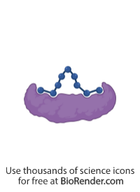 Free MHC class I (binding groove, with peptide) Icons, Symbols & Images ...