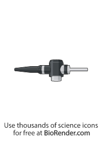 Free Endoscope (connector) Icons, Symbols & Images | BioRender