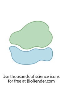 Free Ribosome Icons, Symbols & Images | BioRender