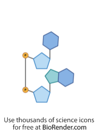 Free NAD (2D) Icons, Symbols & Images | BioRender