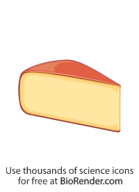 Free Cheese (cheddar) Icons, Symbols & Images | BioRender