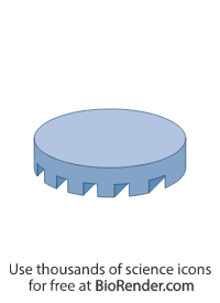 Free PDMS substrate Icons, Symbols & Images | BioRender