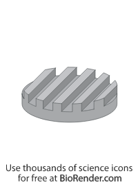 Free Micropatterned mold Icons, Symbols & Images | BioRender