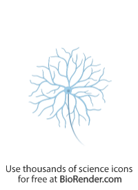 Free Retinal ganglion cell (with dendrites and axon) Icons, Symbols ...