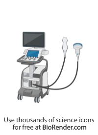 Free Echocardiogram (with ultrasound probes) Icons, Symbols & Images ...