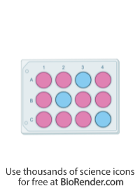 Free Well plate (top view, 12 wells, editable) Icons, Symbols & Images ...