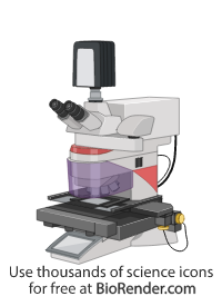 Free Laser microdissection microscope Icons, Symbols & Images | BioRender