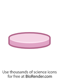 Free Tissue sample (cylinder) Icons, Symbols & Images | BioRender