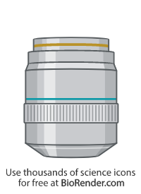 Free Objective lens Icons, Symbols & Images | BioRender