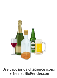 Free Alcoholic beverage Icons, Symbols & Images | BioRender