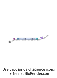 Free mRNA vaccine (curved, with neoantigens and nucleotides 1) Icons ...