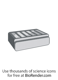 Free PromethION 48 sequencer Icons, Symbols & Images | BioRender