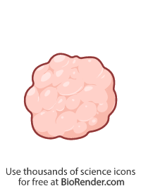 Free Tumor (round) Icons, Symbols & Images | BioRender