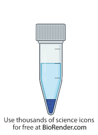 Free Screw cap Eppendorf tube (2-3, centrifuged) Icons, Symbols & Images | BioRender