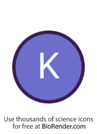 Free 19 Potassium Icons, Symbols & Images | BioRender