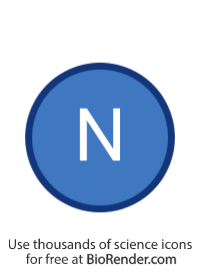 Free 07 Nitrogen Icons, Symbols & Images | BioRender