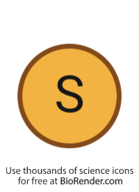 Free 16 Sulfur Icons, Symbols & Images | BioRender