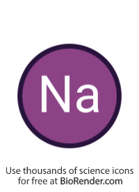 Free 11 Sodium Icons, Symbols & Images | BioRender