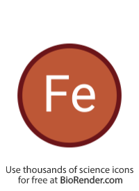 Free Molecular Model Kit Icons, Symbols & Images | BioRender