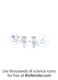 Free RNA extraction (deactivated SARS-CoV-2 virus) Icons, Symbols & Images | BioRender