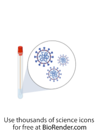 Free SARS-CoV-2 collected specimen Icons, Symbols & Images | BioRender