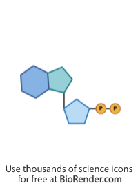 Free ADP Icons, Symbols & Images | BioRender