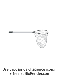 Free Hand net Icons, Symbols & Images | BioRender