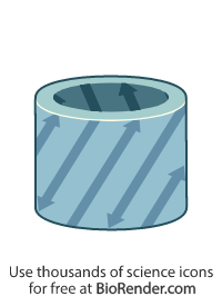 Free Type 5 secretion system (beta barrel) Icons, Symbols & Images ...