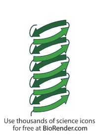 Free Type 5 secretion system (CdiB) Icons, Symbols & Images | BioRender